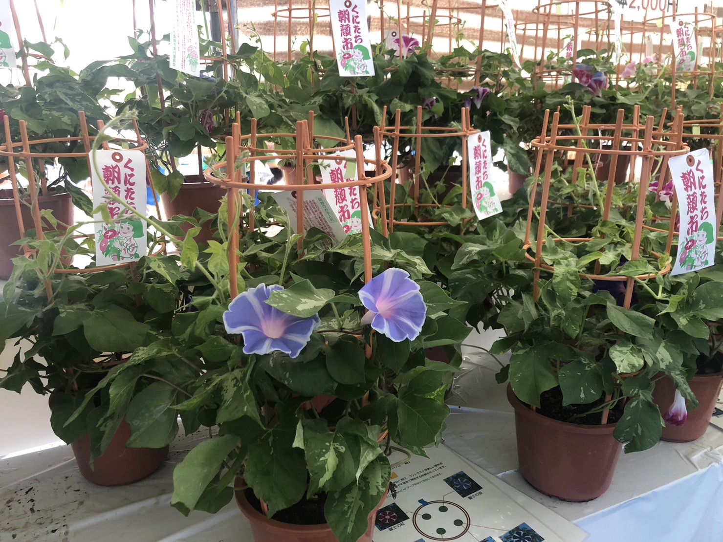 知っ得！！＜家族で相続トラブル 共有名義の落とし穴とは？＞ | 一般社団法人 不動産相続サポート協会 RIPSA（リプサ）