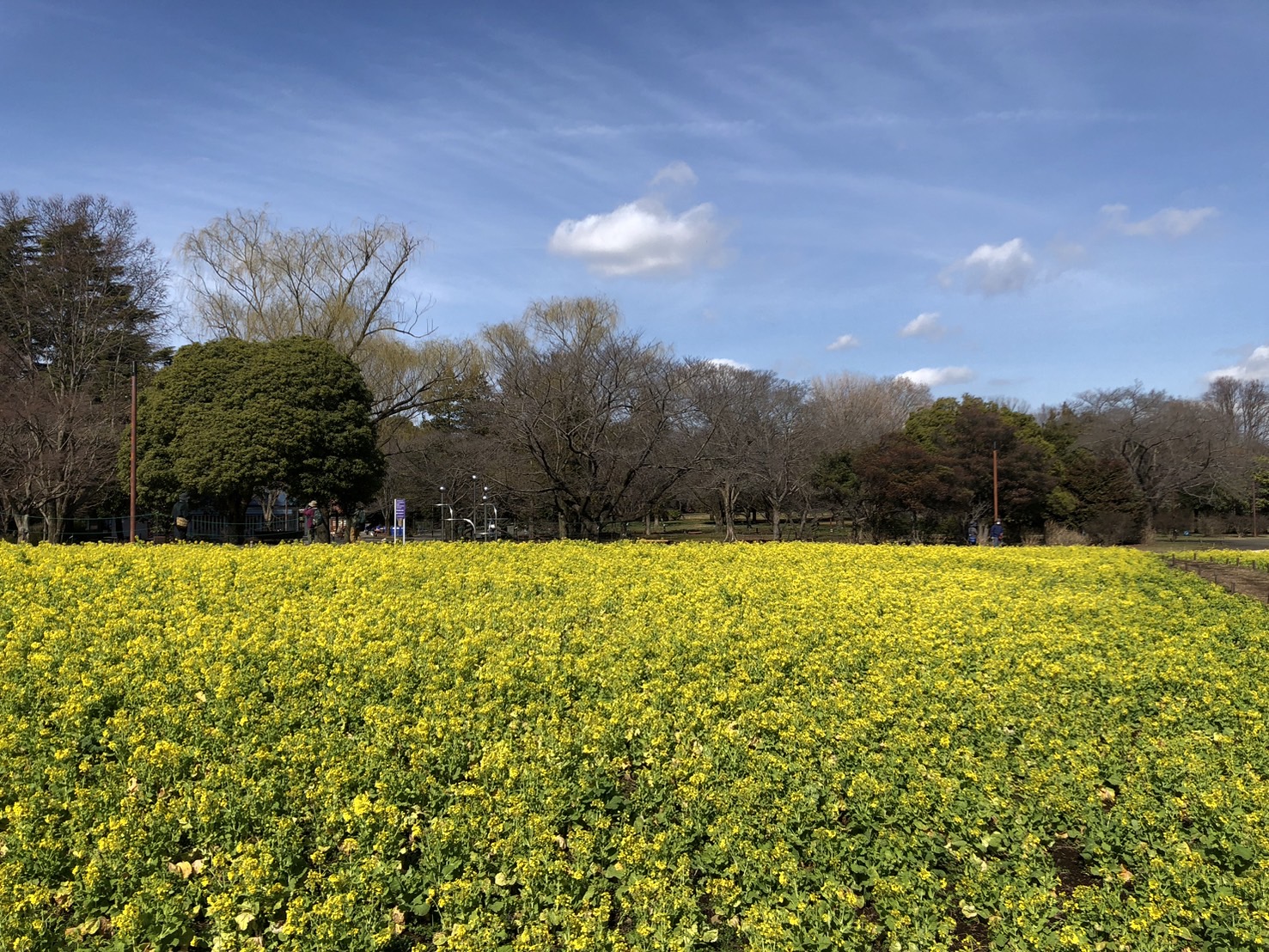 知っ得！！＜相続手続きの流れ どんなスケジュール？後編＞ | 一般社団法人 不動産相続サポート協会 RIPSA（リプサ）