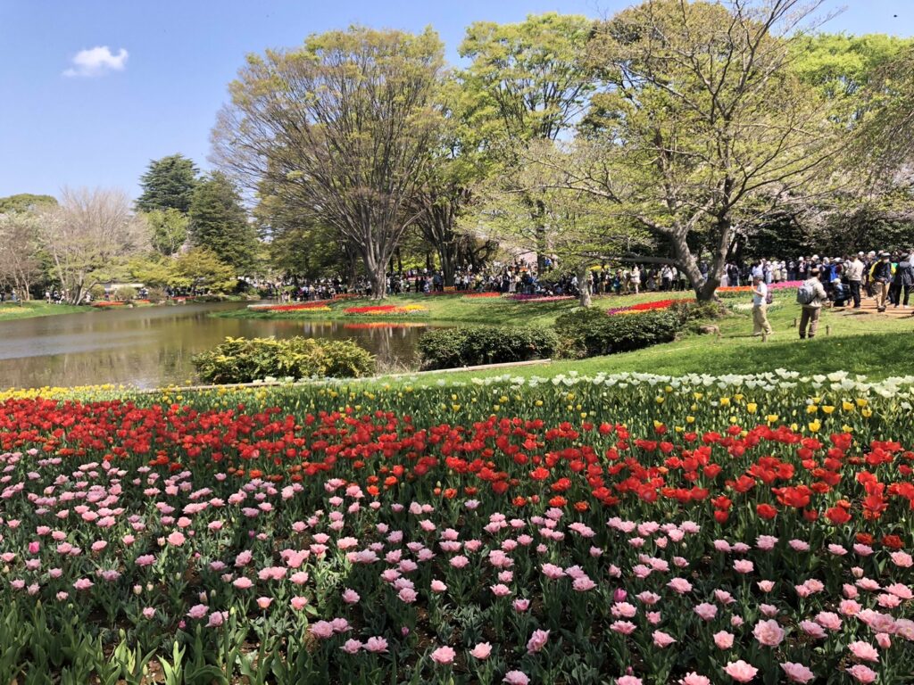 ≪GW休業のお知らせ≫ | 一般社団法人 不動産相続サポート協会 RIPSA（リプサ）